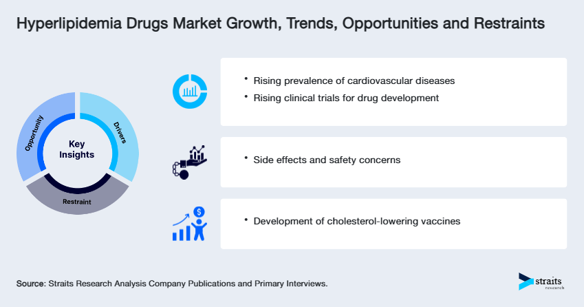 Hyperlipidemia Drugs Market Size, Trends & Demand By 2033