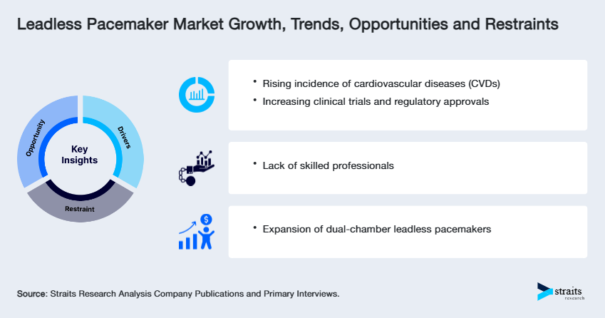 Leadless Pacemaker Market Size, Share, Key Insights & Opportunities By 2033